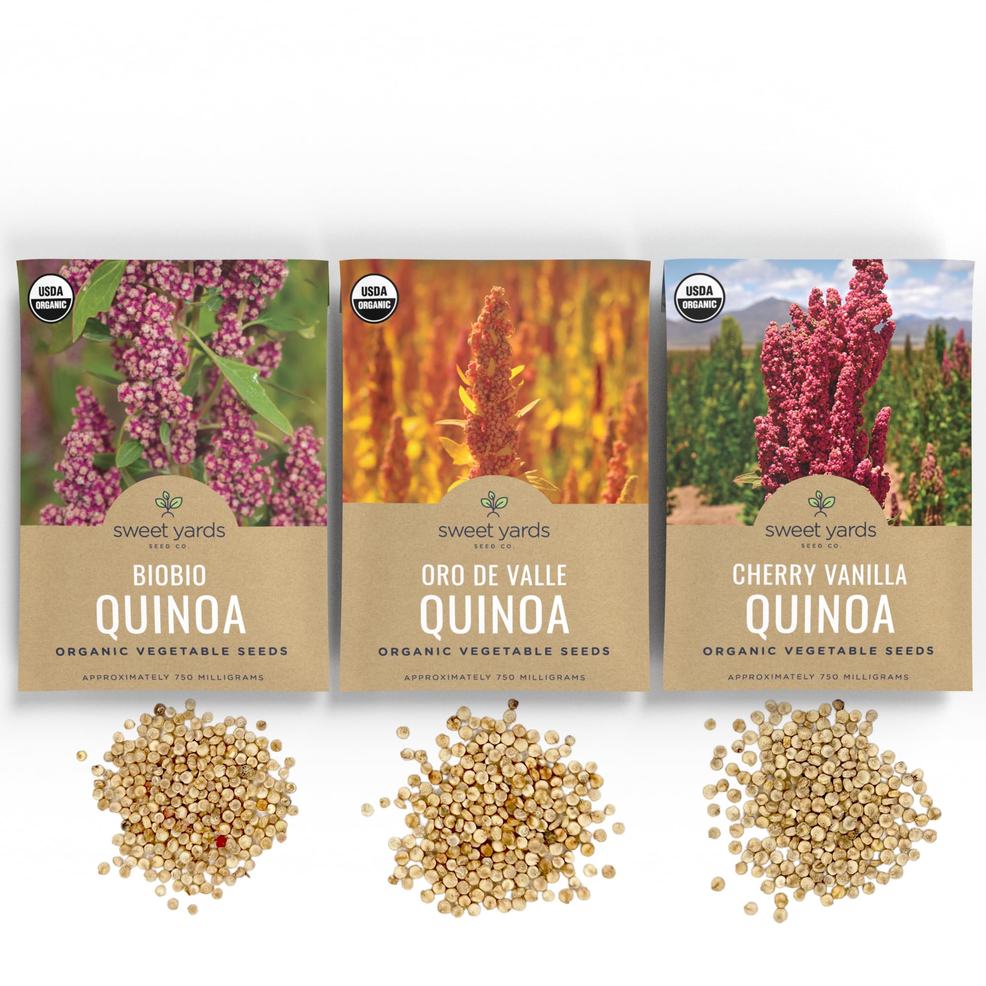 Quinoa Plant Seeds