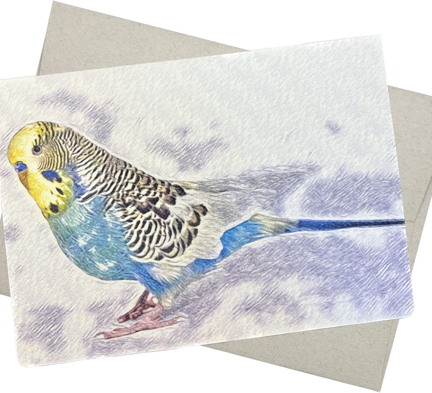 Amazon.com : Blue and Yellow Parakeet Card, Parakeet Birthday Card (5X7 ...