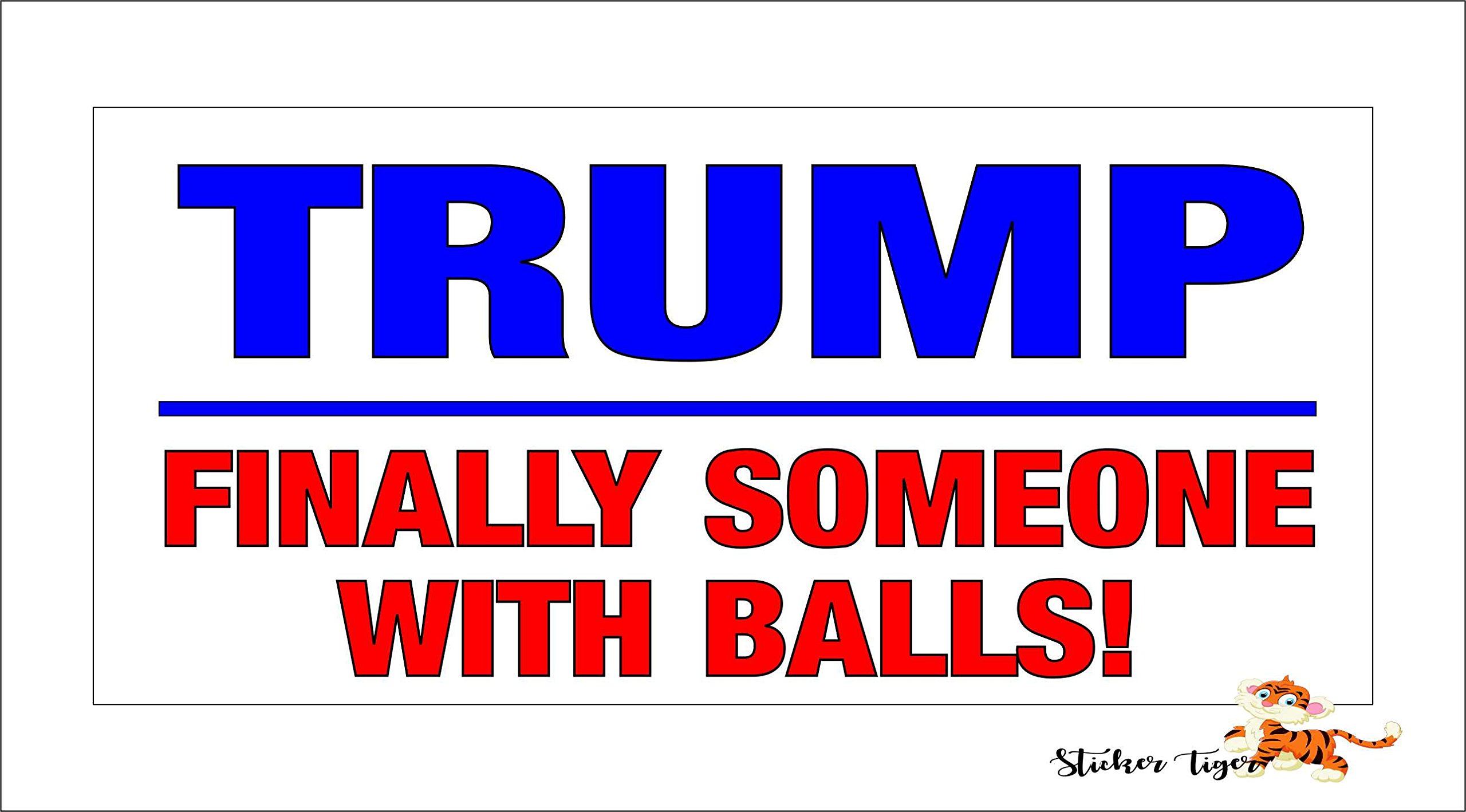 Amazon.com: Trump Finally Someone with Some Balls Bumper Sticker Decal ...
