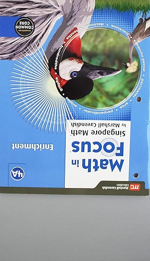 Math in Focus Enrichment Blackline Master a Grade 4 (Hmh Math in Focus): Houghton Mifflin ...