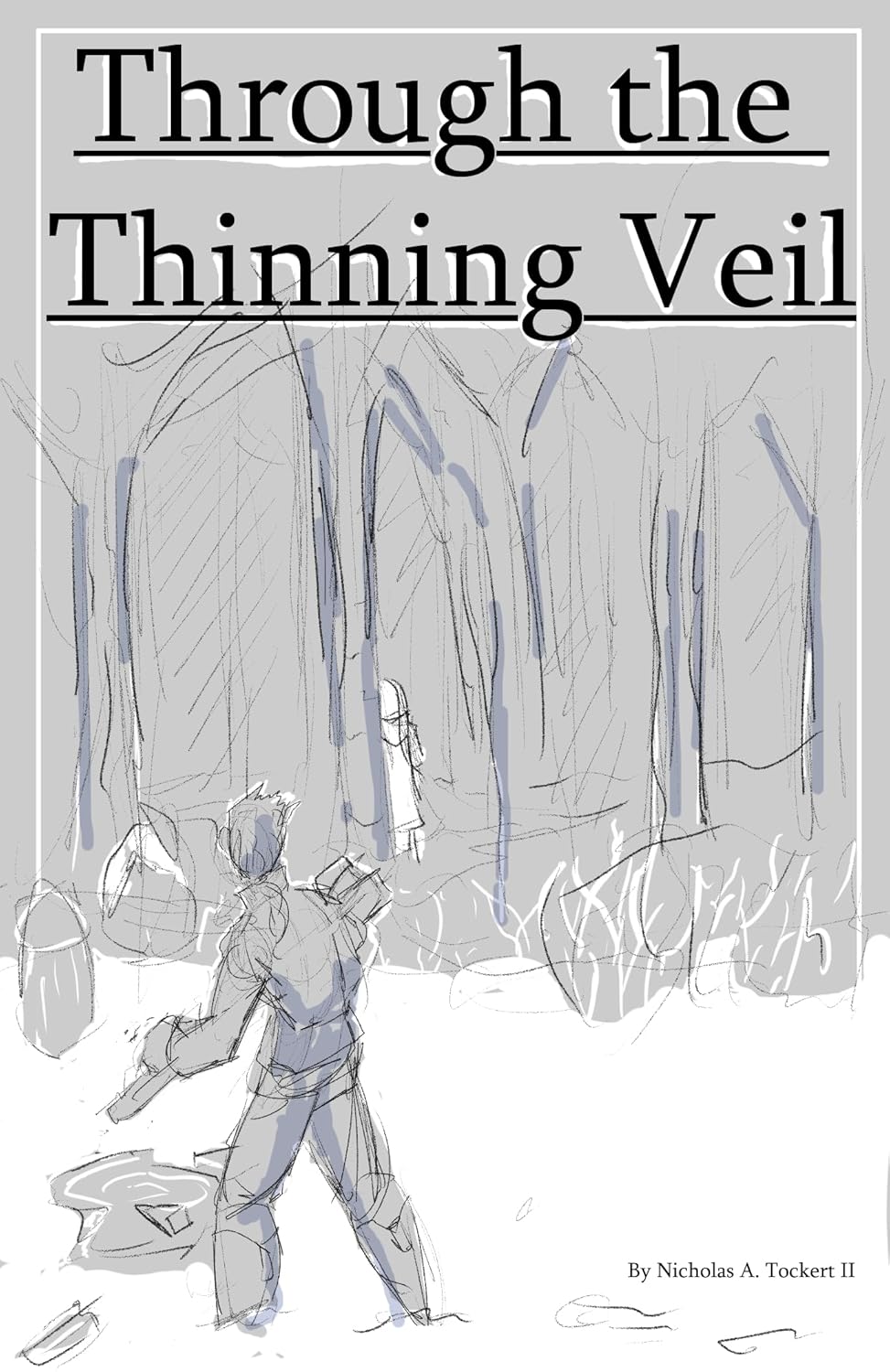 Amazon.com: Through the Thinning Veil eBook : Tockert, Nicholas: Kindle ...