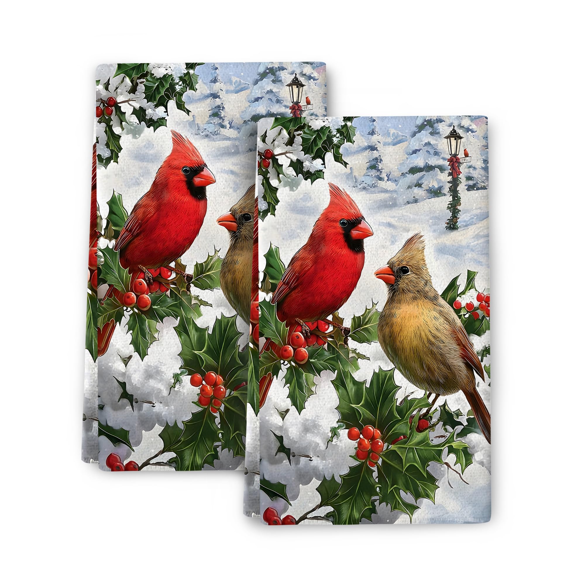 Amazon.com: Kitchen Dish Towels Winter Cardinal Birds Hand Towels Set ...