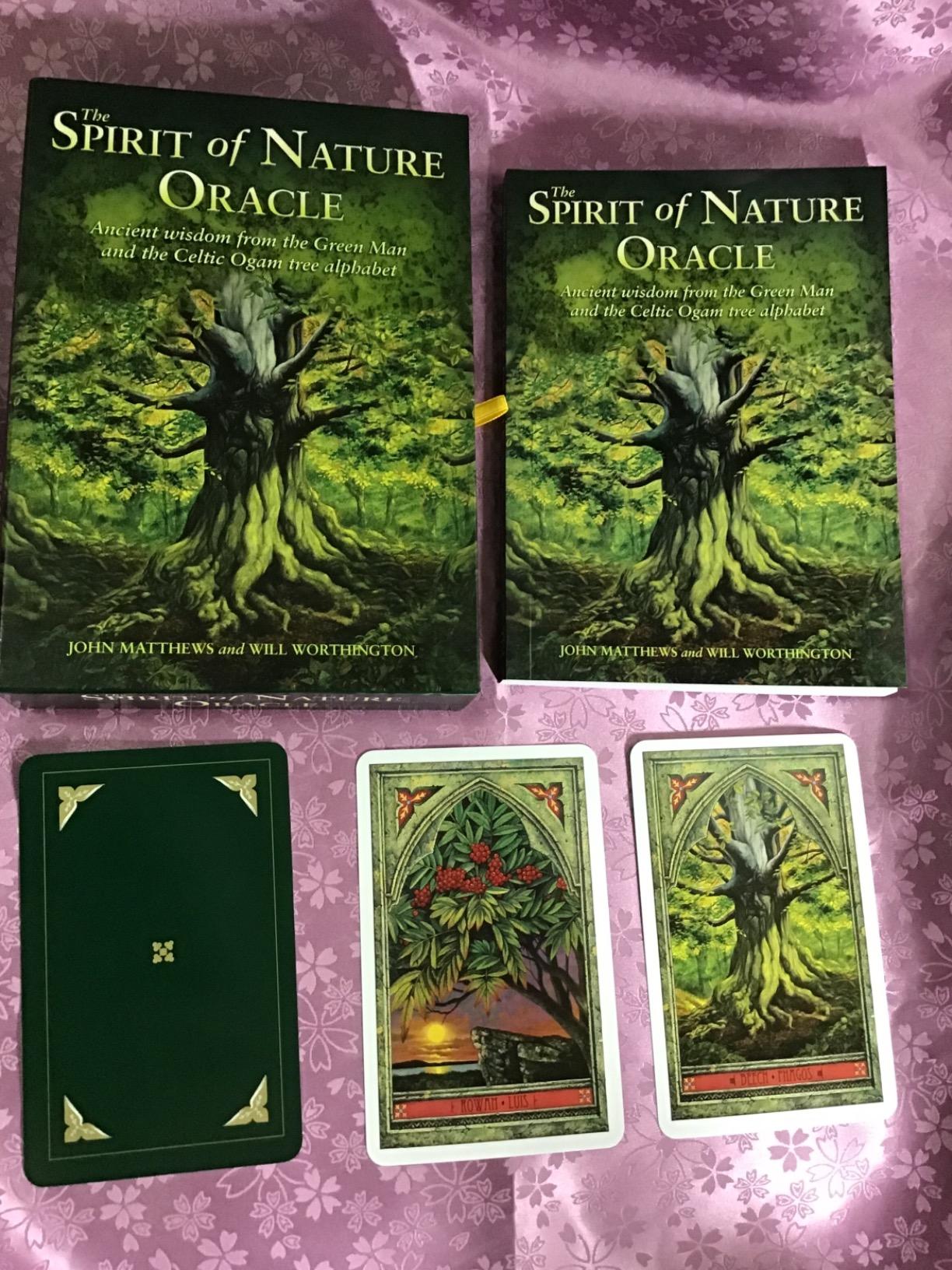 Amazon | The Spirit of Nature Oracle: Ancient wisdom from the Green Man ...
