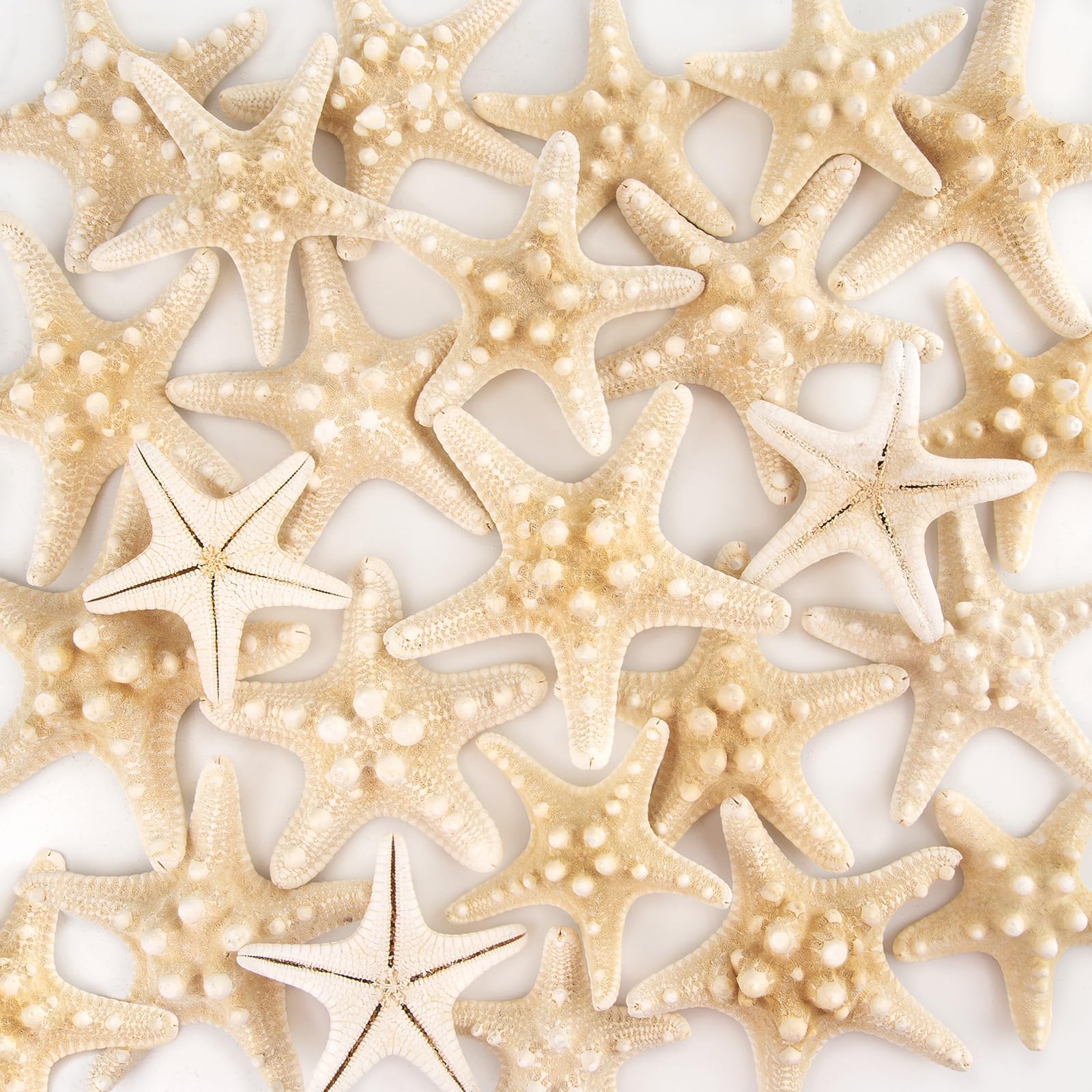 Amazon.com: UEIEU 12 PCS Starfish | 2.5-6 Inch Starfish Decor | Natural ...