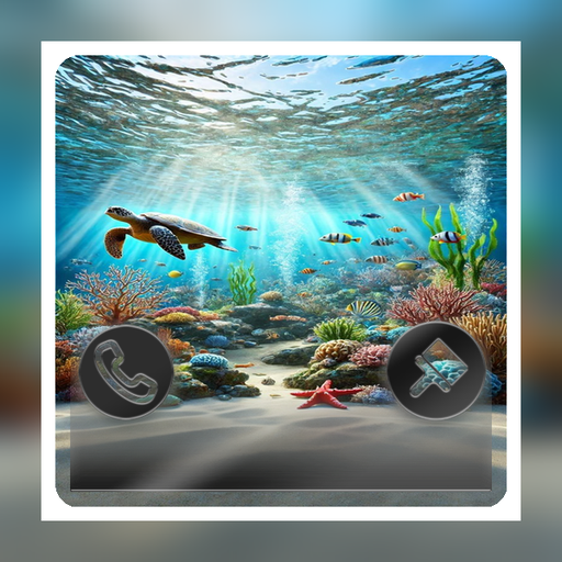 Clear Sea Wallpapers: Tropical Beaches, Coral Reefs 4K - Aplicativo na Amazon Appstore