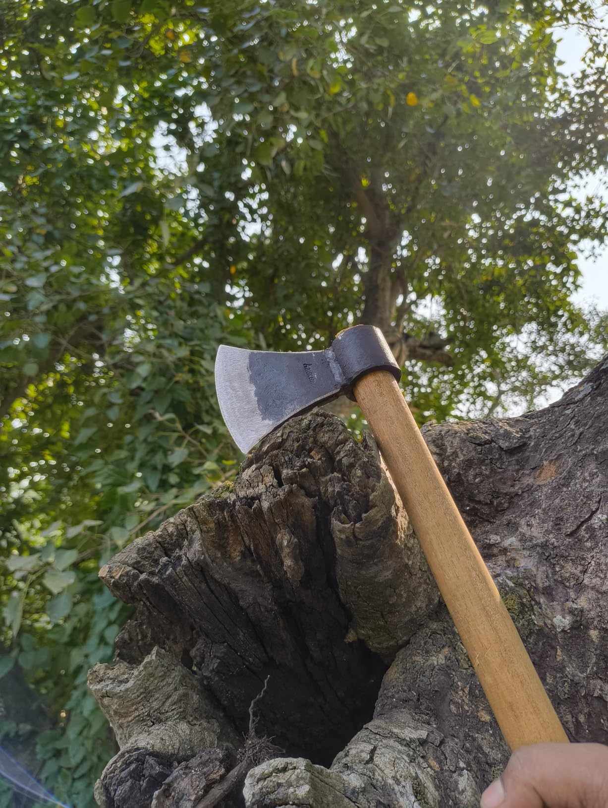 ANUXTM Classic Axe Wood Cutting Gardening Tools with Kulhadi for Tree ...