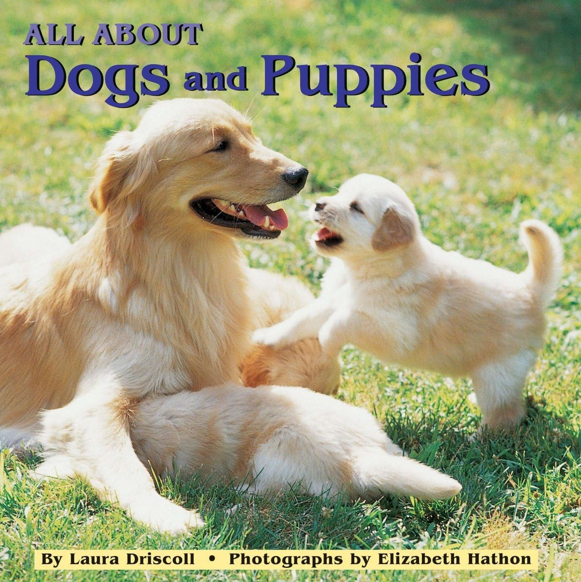 All About Dogs and Puppies (Reading Railroad): Laura Driscoll ...