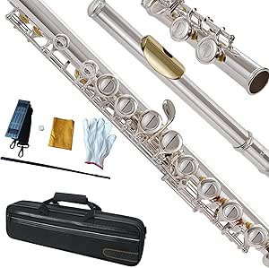 Amazon.com: KAYATA C Flute – Silver Plated, 16-Key Closed Hole, Offset ...