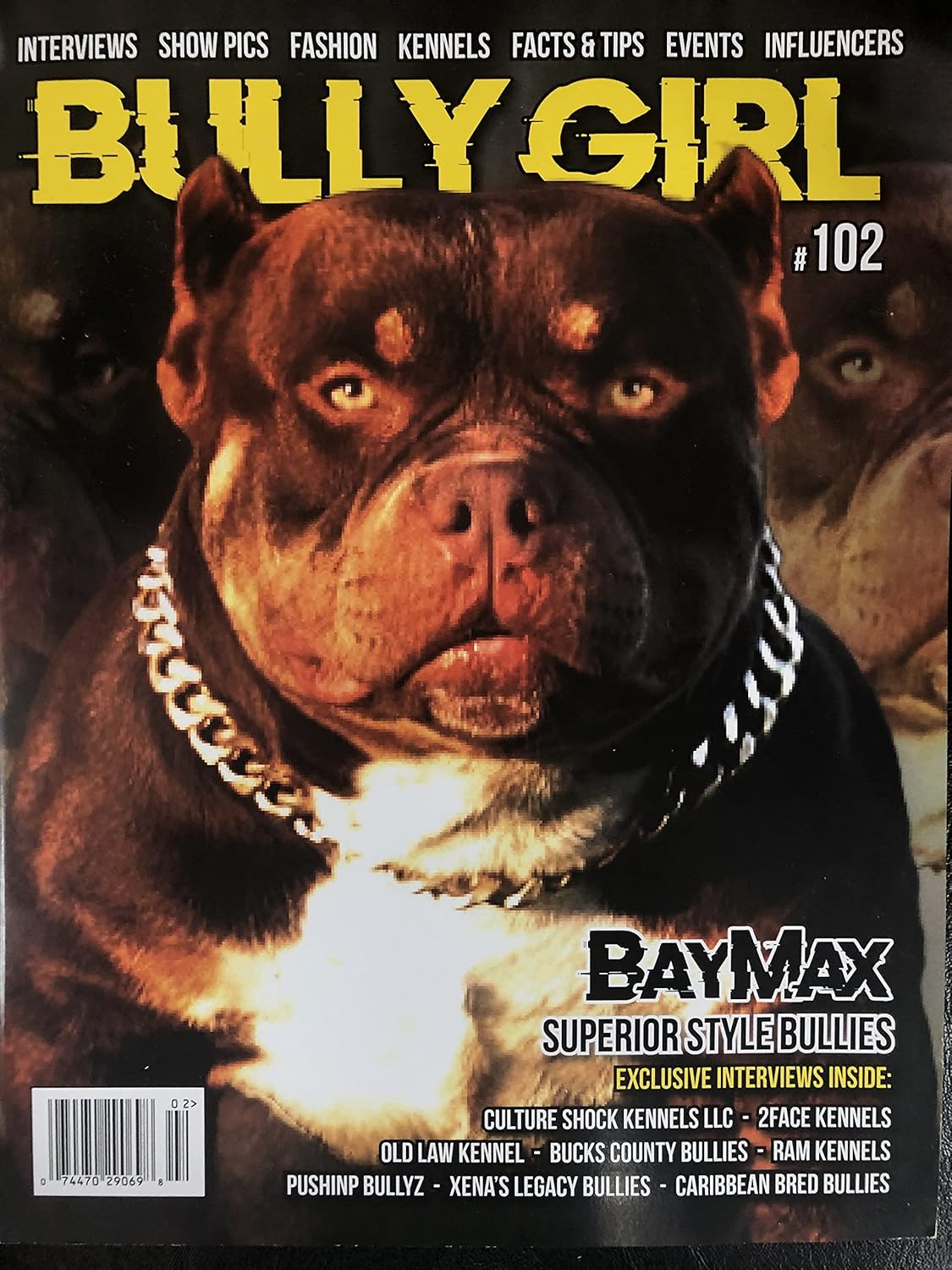 Bully Girl Magazine Issue #102: Dimez: 9798987386538: Amazon.com: Books