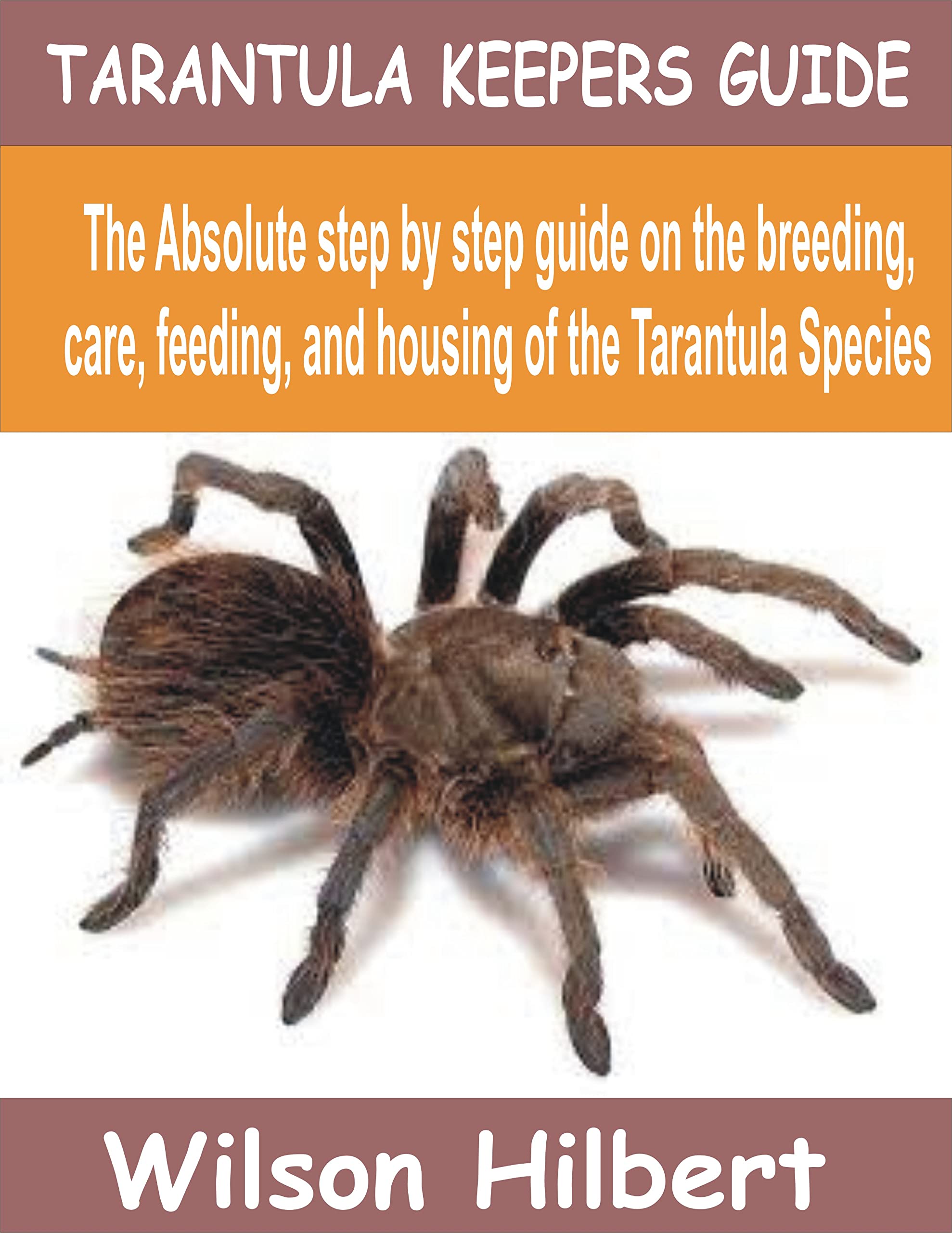 Buy TARANTULA KEEPERS GUIDE: The Absolute Step by step guide on the ...