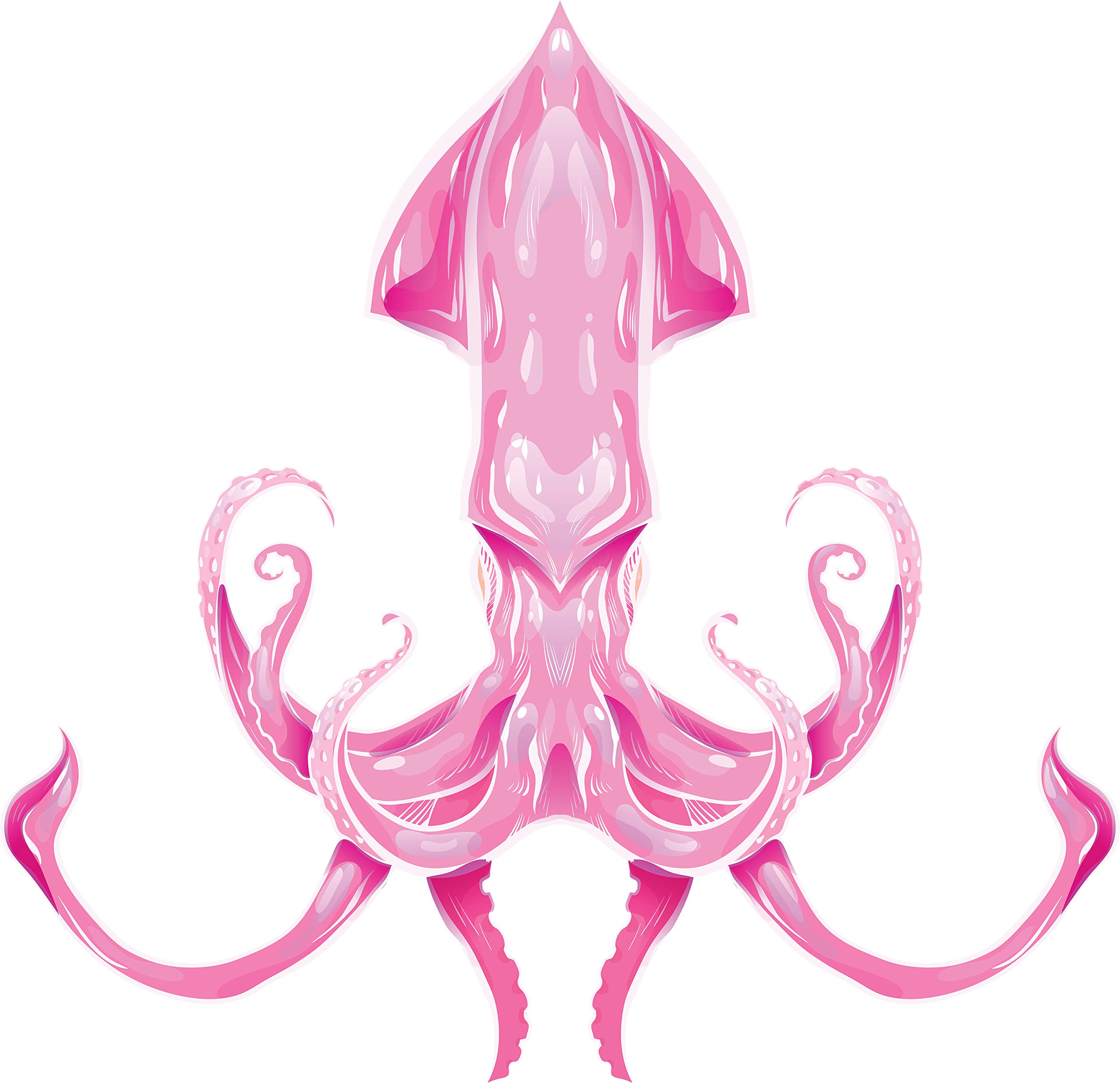 Realistic Squid Drawing