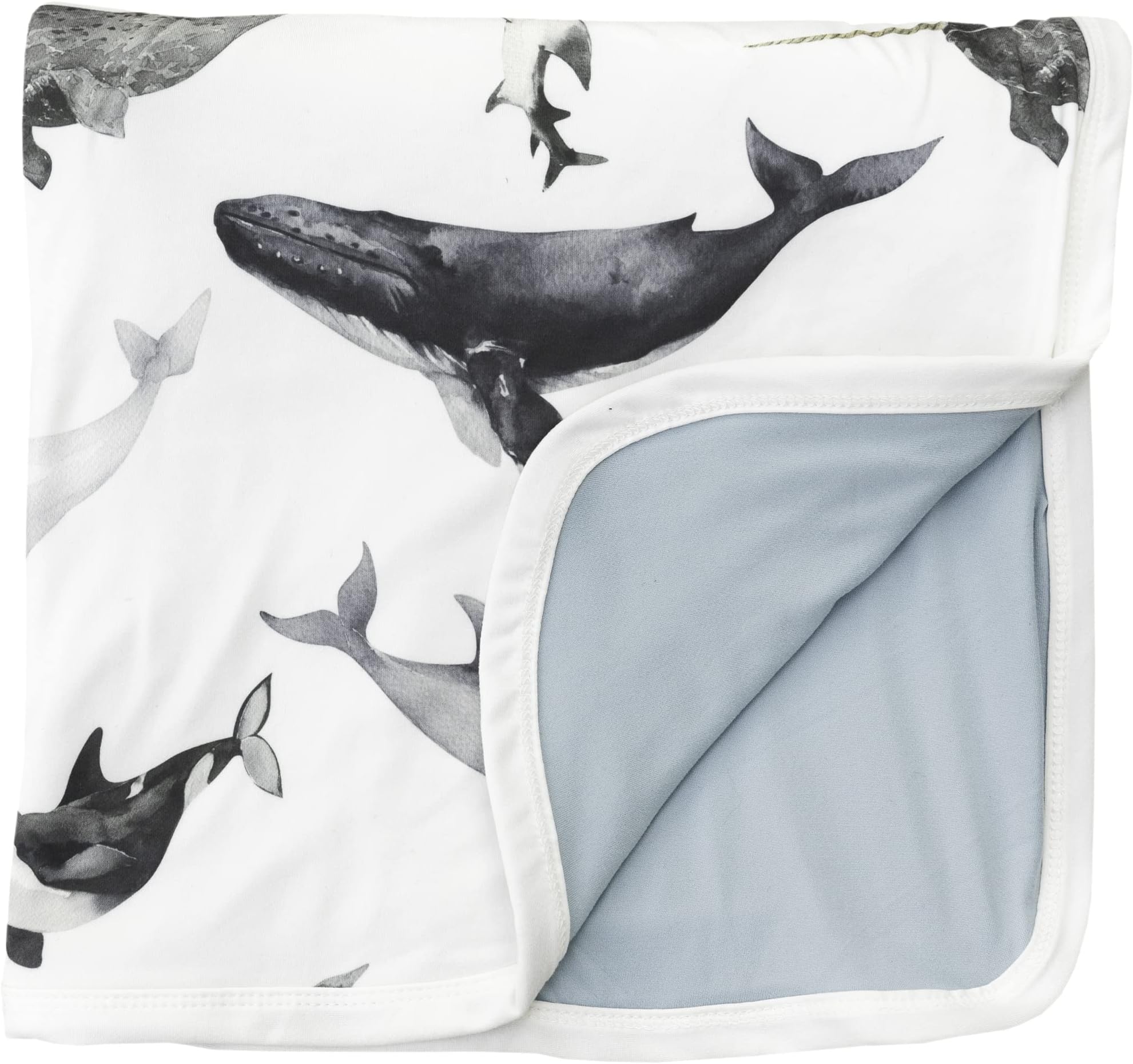 Amazon.com: Pobi Baby Soft Neutral Baby Blanket - Comfortable Premium ...