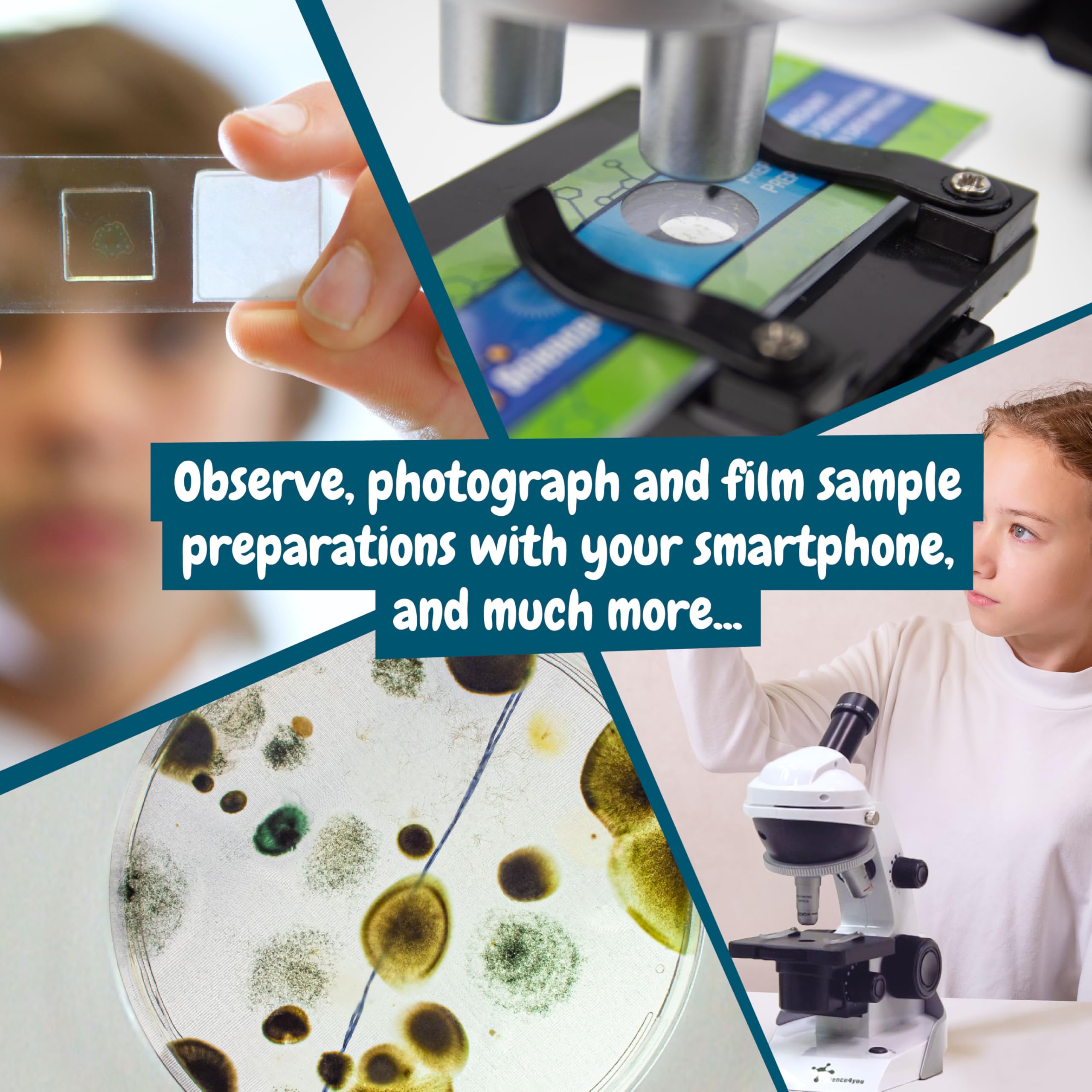 Cells Under A Microscope For Kids