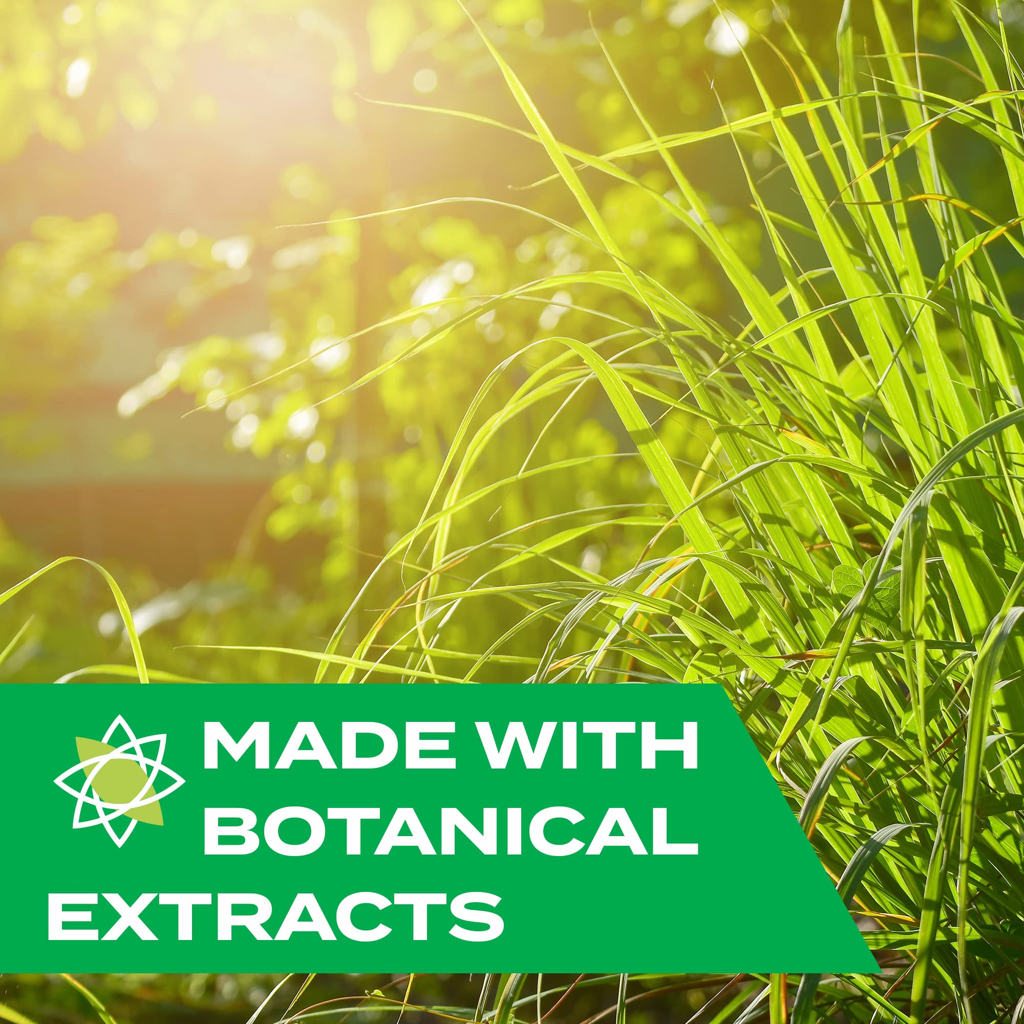 Snapklik.com : Stem Kills Ants, Roaches And Flies: Plant-Based Active ...