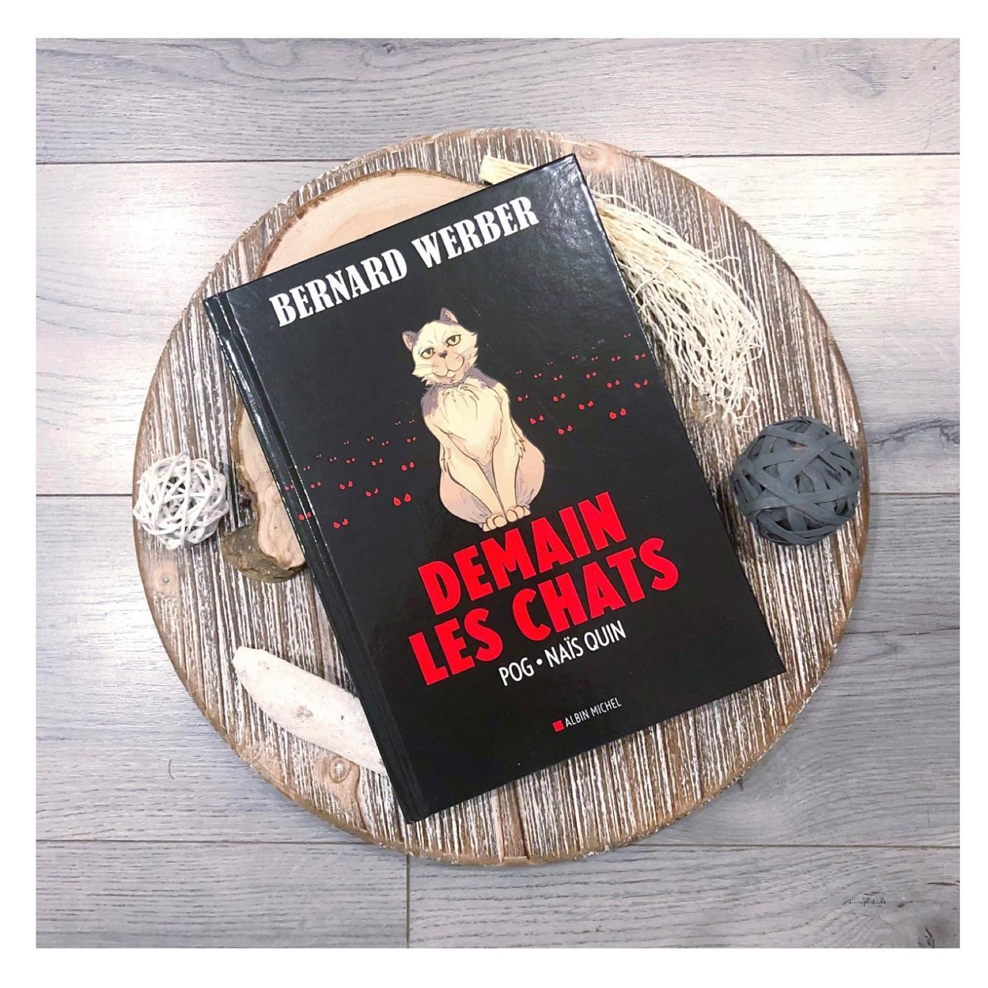 Amazon.fr - Demain les chats (BD) T1 - Werber, Bernard, Pog, Quin, Naïs ...