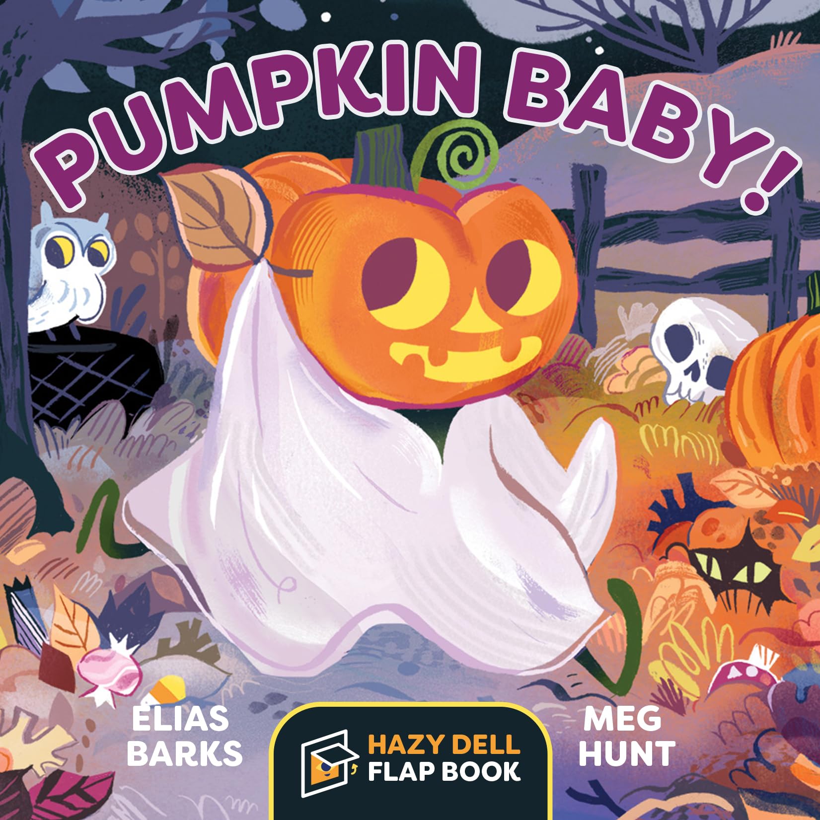 Pumpkin Baby!: A Hazy Dell Flap Book (Hazy Dell Flap Book, 3): Barks ...
