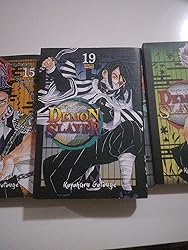 Demon Slayer - Kimetsu No Yaiba Vol. 19 | Amazon.com.br