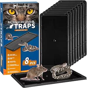 Amazon.com : LULUCATCH Glue Mouse Traps Indoor for Home 8 Pack, Pre ...