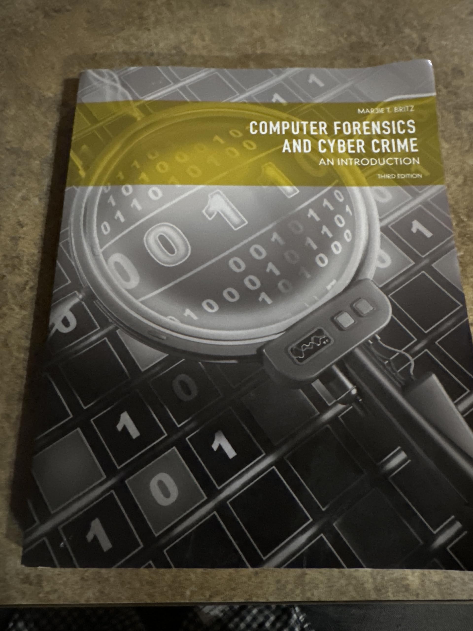 Computer Forensics and Cyber Crime: An Introduction: Britz, Marjie ...