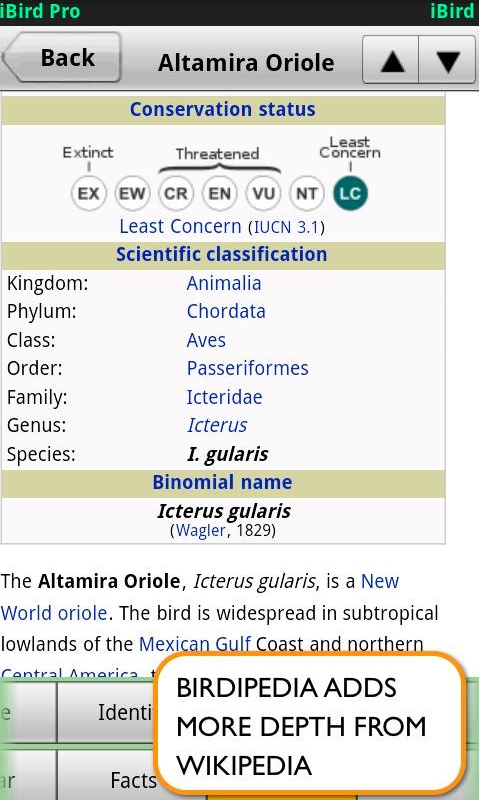 iBird Lite 2:Amazon.com:Appstore for Android