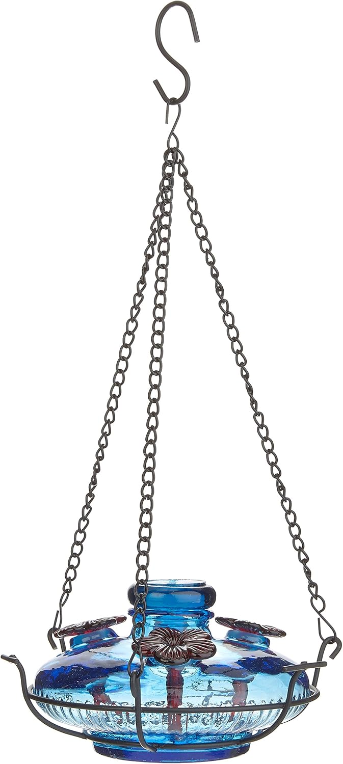 Amazon.com : Parasol BLOOMPAQ Bloom Perch Hummingbird Feeder Aqua ...
