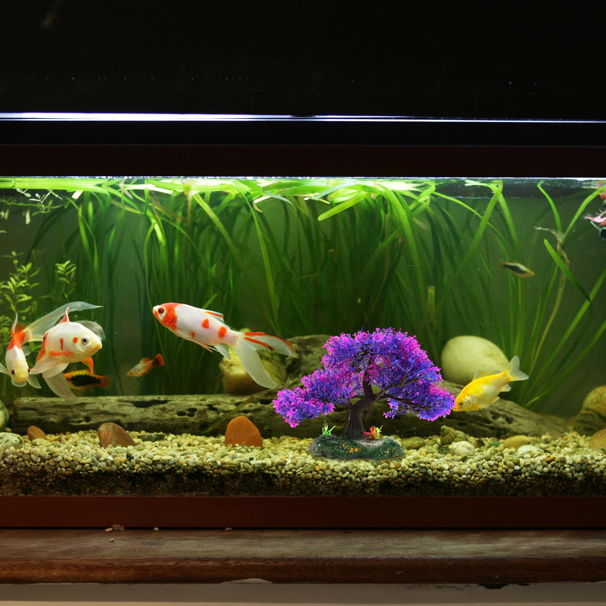Underwater Trees Aquarium Plants Underwater Landscape Nature Forest