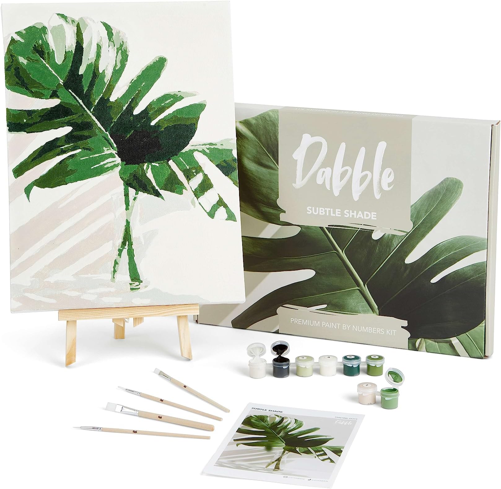 YALKIN Paint by Numbers for Adults and Beginner, Painting by Number ...