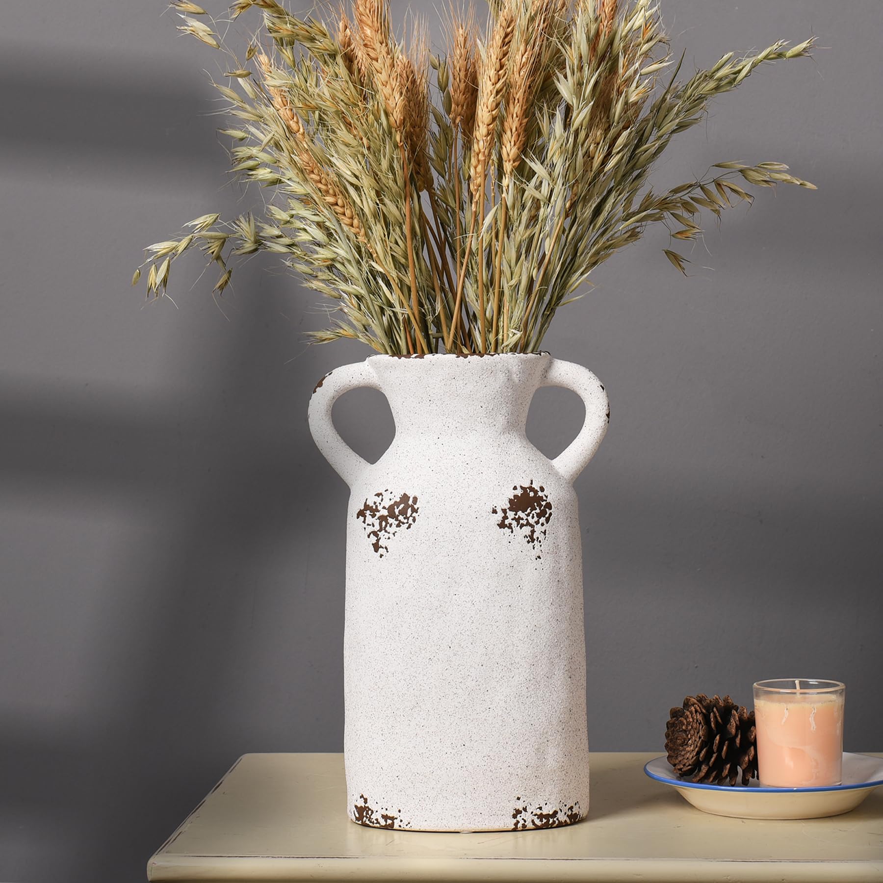 Amazon.com: Rustic Ceramic Vase with 2 Handles, 10.6 Inch White Flower ...