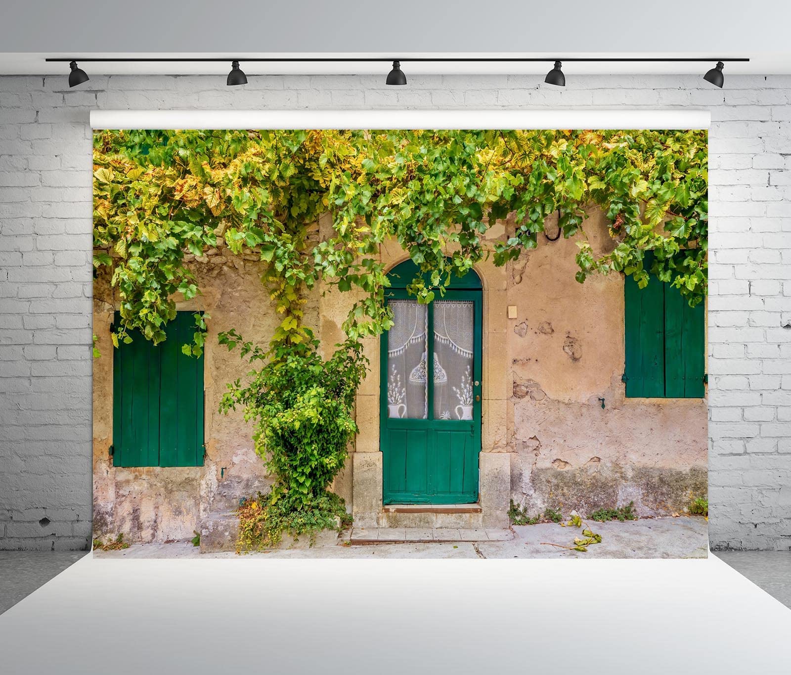 Village House Backdrop