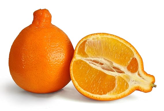 Amazon.com: TANGELOS MINNEOLA ORANGES CALIFORNIA GROWN FRESH FRUIT ...