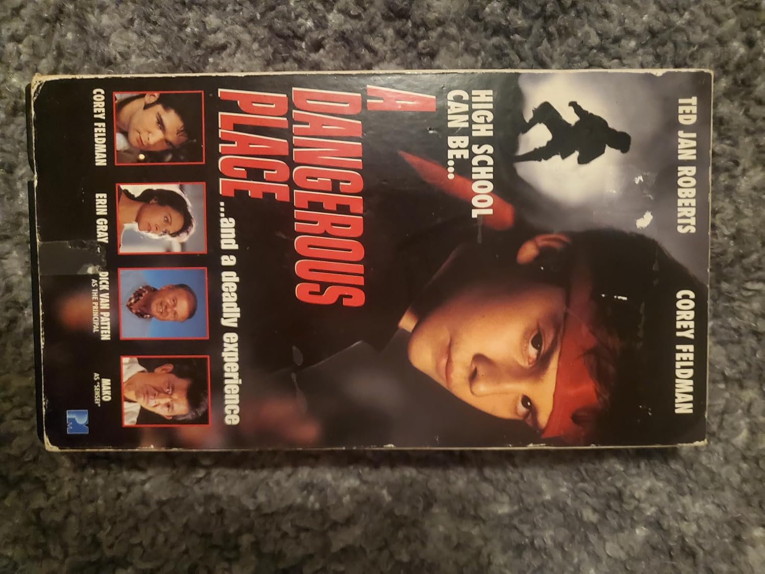 Amazon.com: Dangerous Place [VHS] : Ted Jan Roberts, Corey Feldman ...
