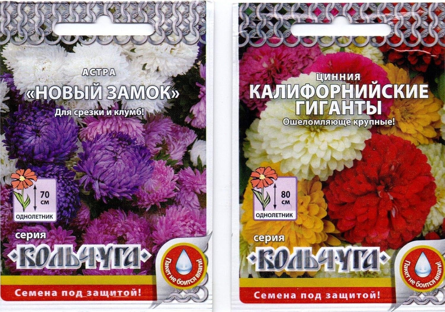 Portal Cool Le piante giganti di California & Astra New Castle : Amazon ...