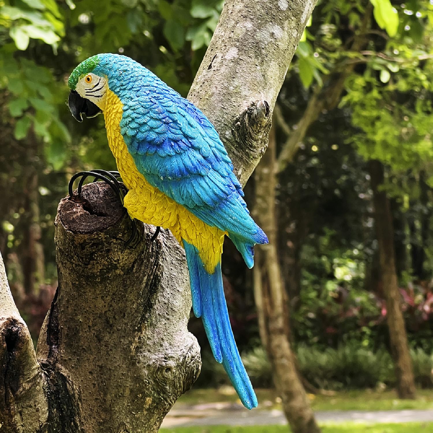 Amazon.com: Handsider Realistic Parrot Sculpture Resin Hanging Parrots ...