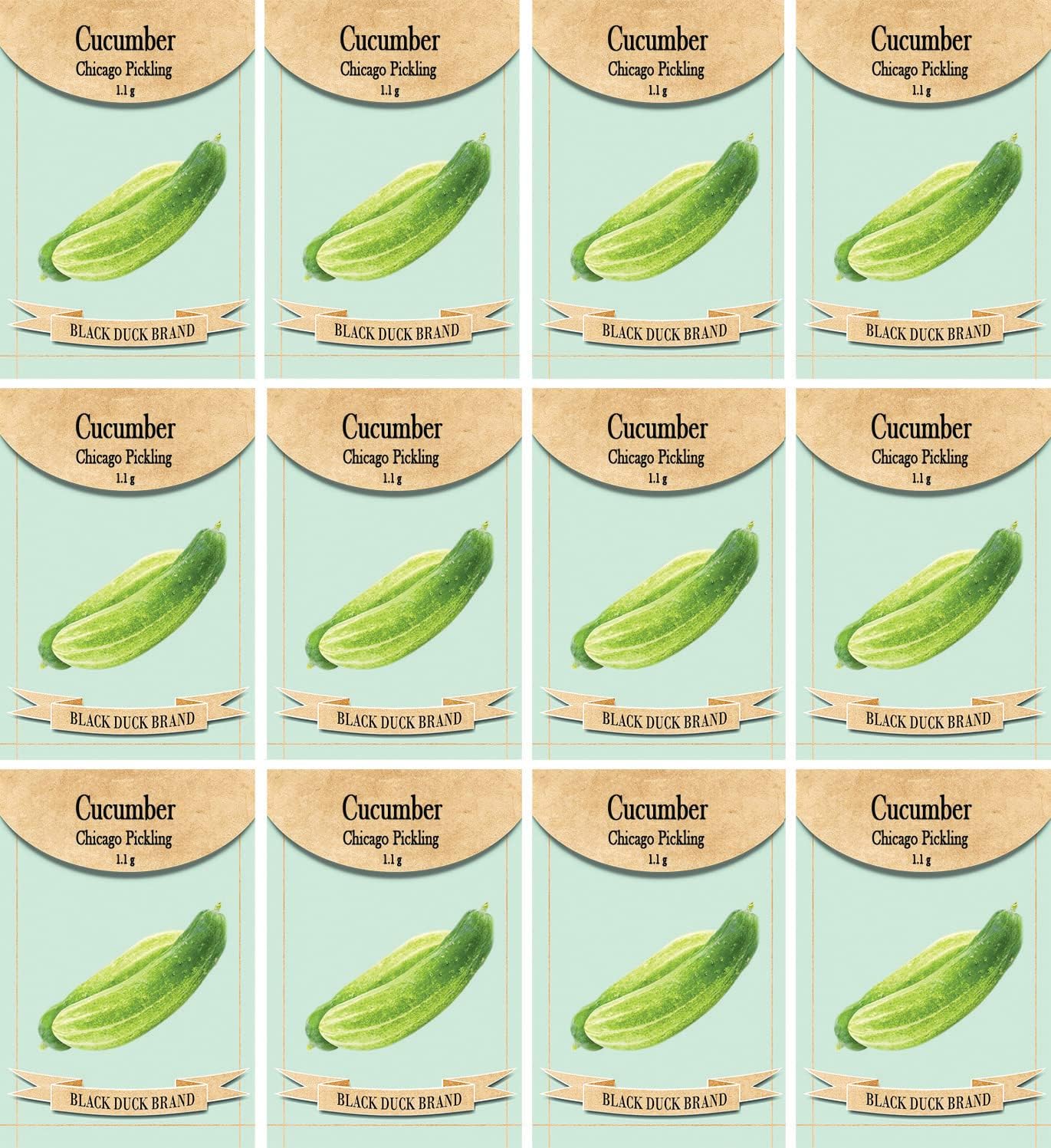 Amazon.com : Set of 12 Cucumber Chicago Pickling Vegetable Seed Packs ...