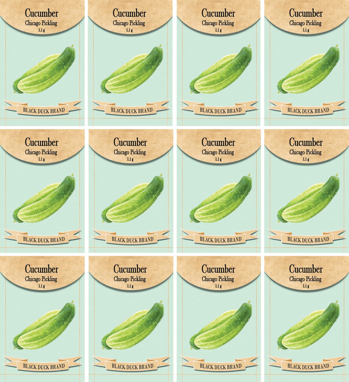 Amazon.com : Set of 12 Cucumber Chicago Pickling Vegetable Seed Packs ...