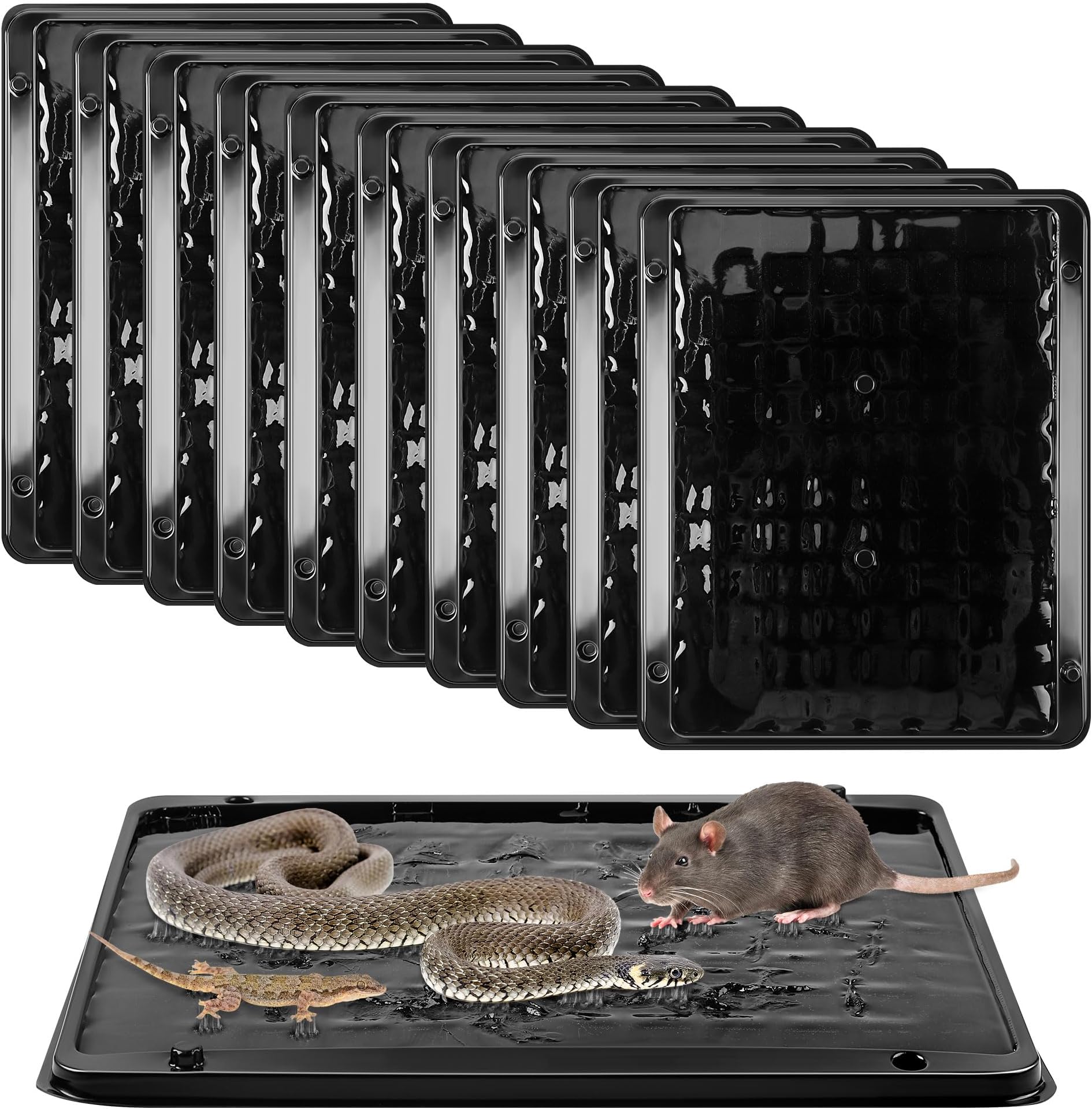 Amazon.com : 8 Pack Jumbo Super Sticky Rat Traps, Sticky Snake Traps ...