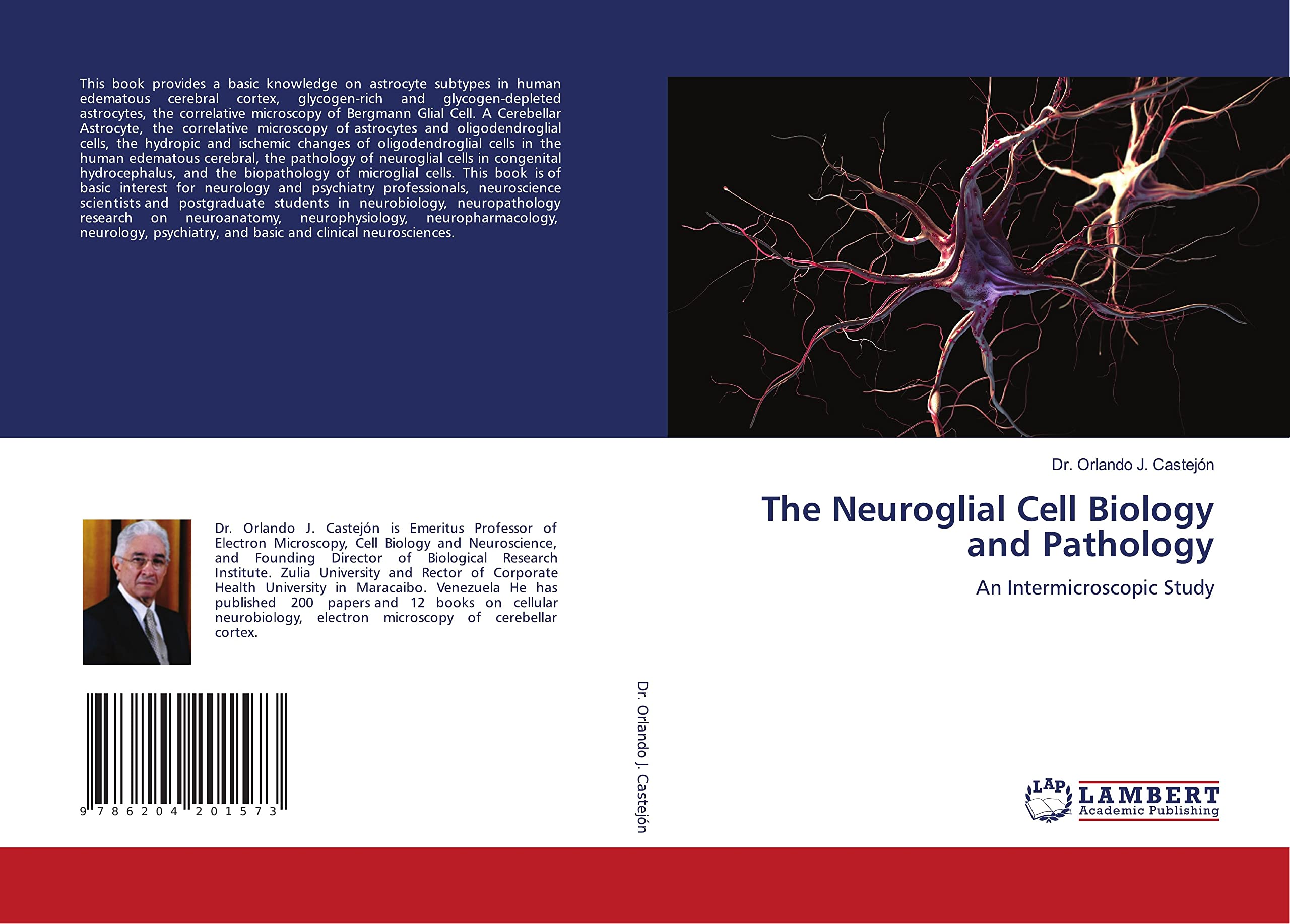 The Neuroglial Cell Biology and Pathology : Dr. Orlando J. Castej n, Dr ...