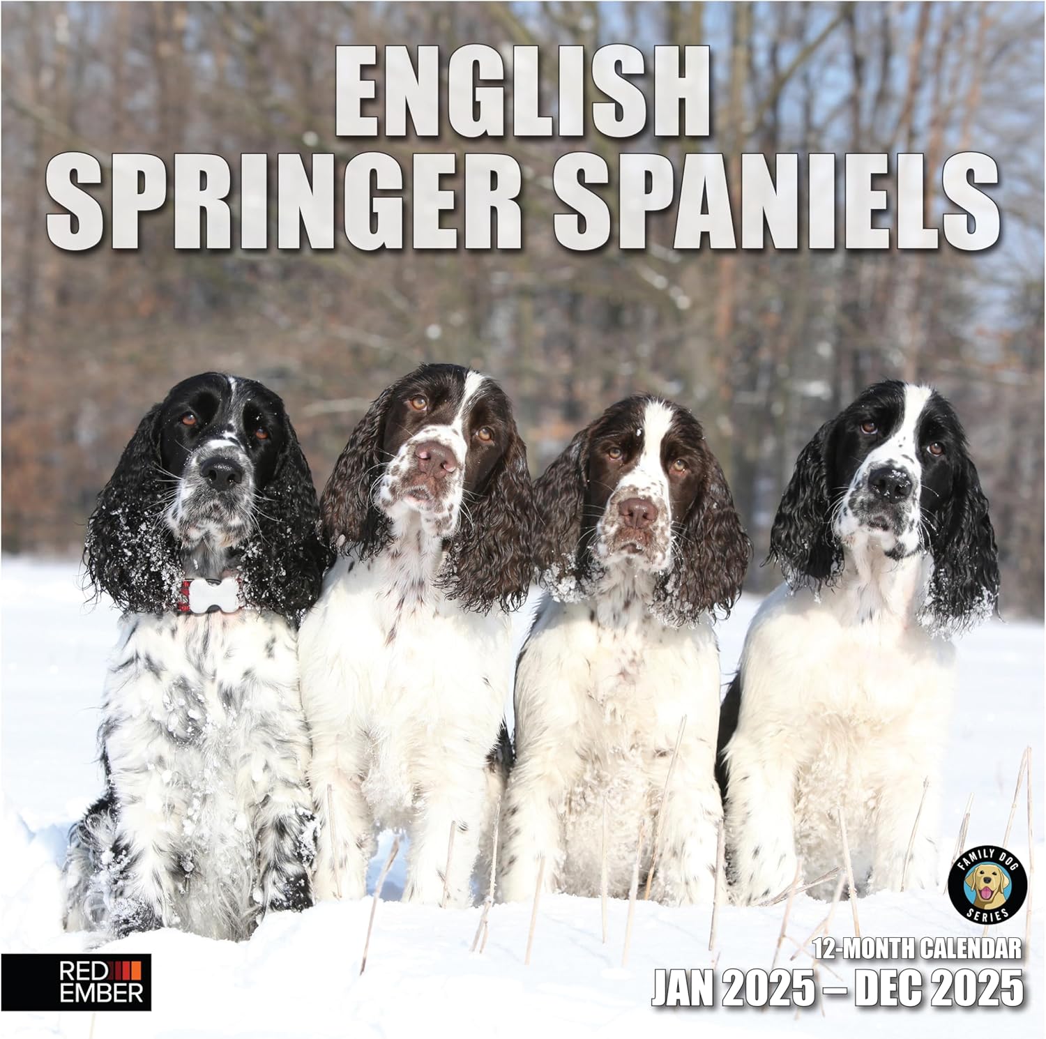 RED EMBER English Springer Spaniels 2025 Hangable Monthly Wall Calendar ...