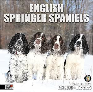 RED EMBER English Springer Spaniels 2025 Hangable Monthly Wall Calendar ...