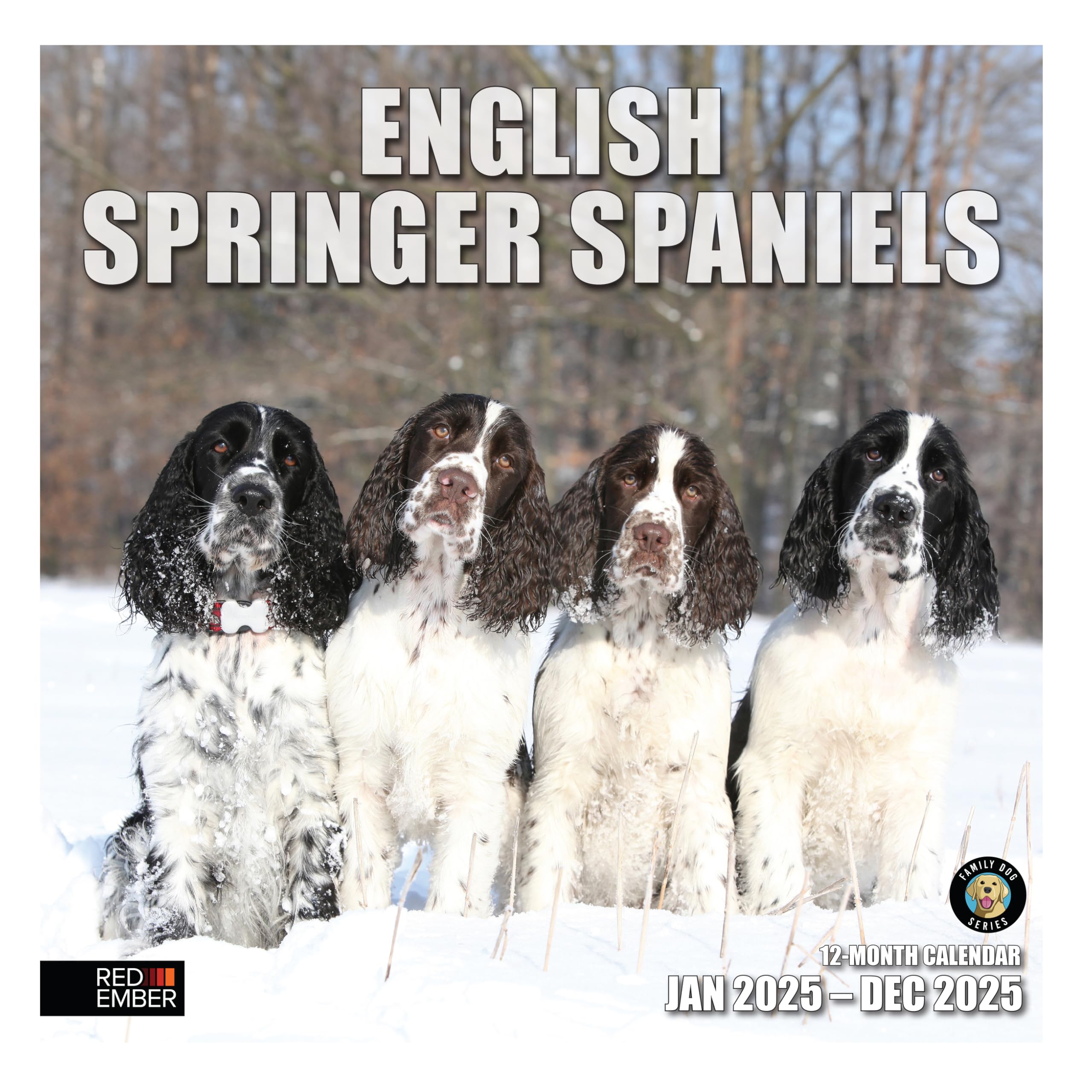Amazon.com: RED EMBER English Springer Spaniels 2025 Wall Calendar 12 ...