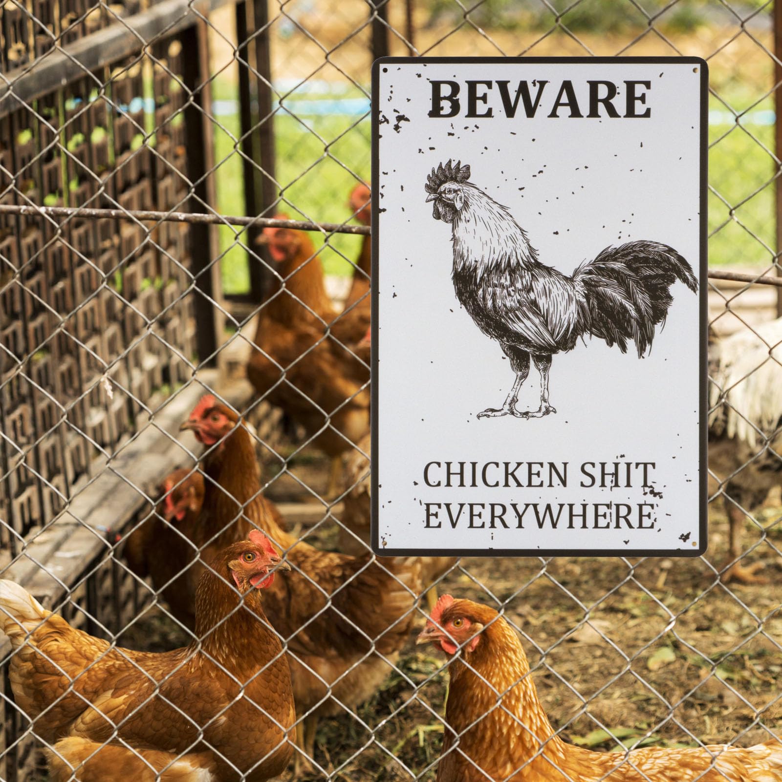 Chicken Shit Sign Chicken Poop GIFs | Tenor