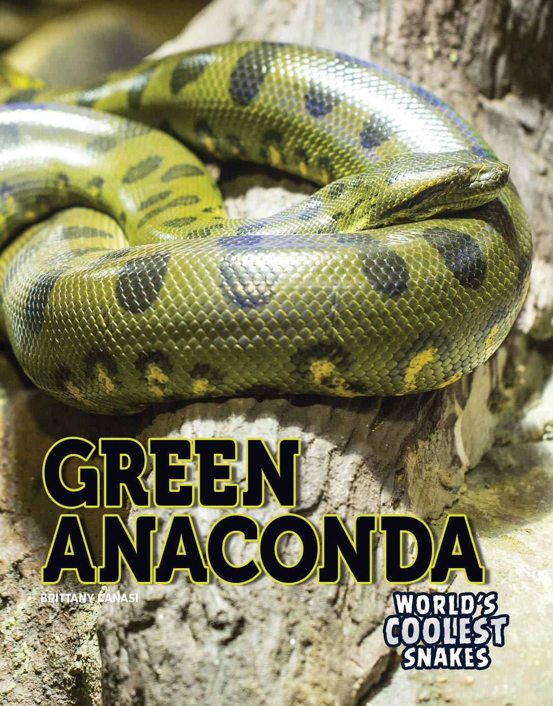 Green Anaconda (World's Coolest Snakes) - Kindle edition by Canasi ...