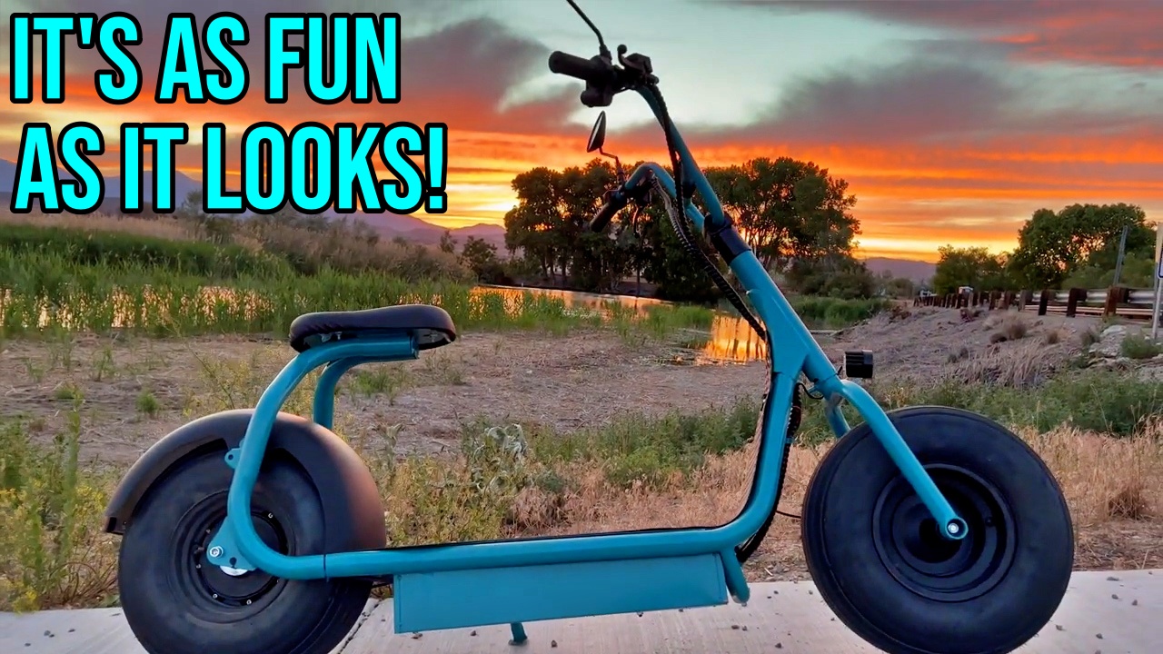 Watch Zoomer Zoomer 1 Test & Review on Amazon Live