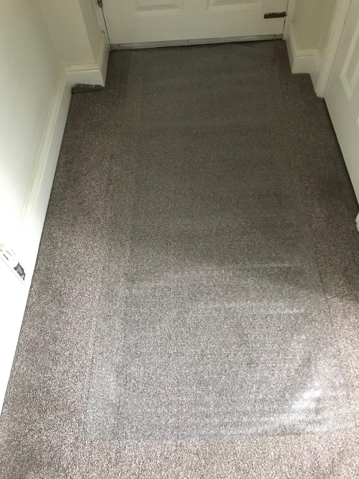 eXtreme® Plastic Carpet Protector Hallway Runner 27 Inches Wide Select ...