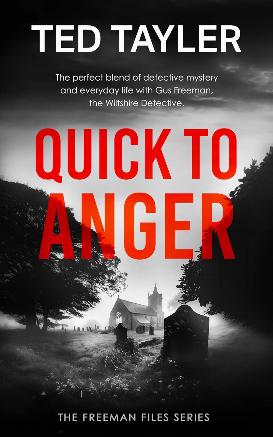 Amazon.com: Quick to Anger: A Cold Case Murder Mystery Series (The ...