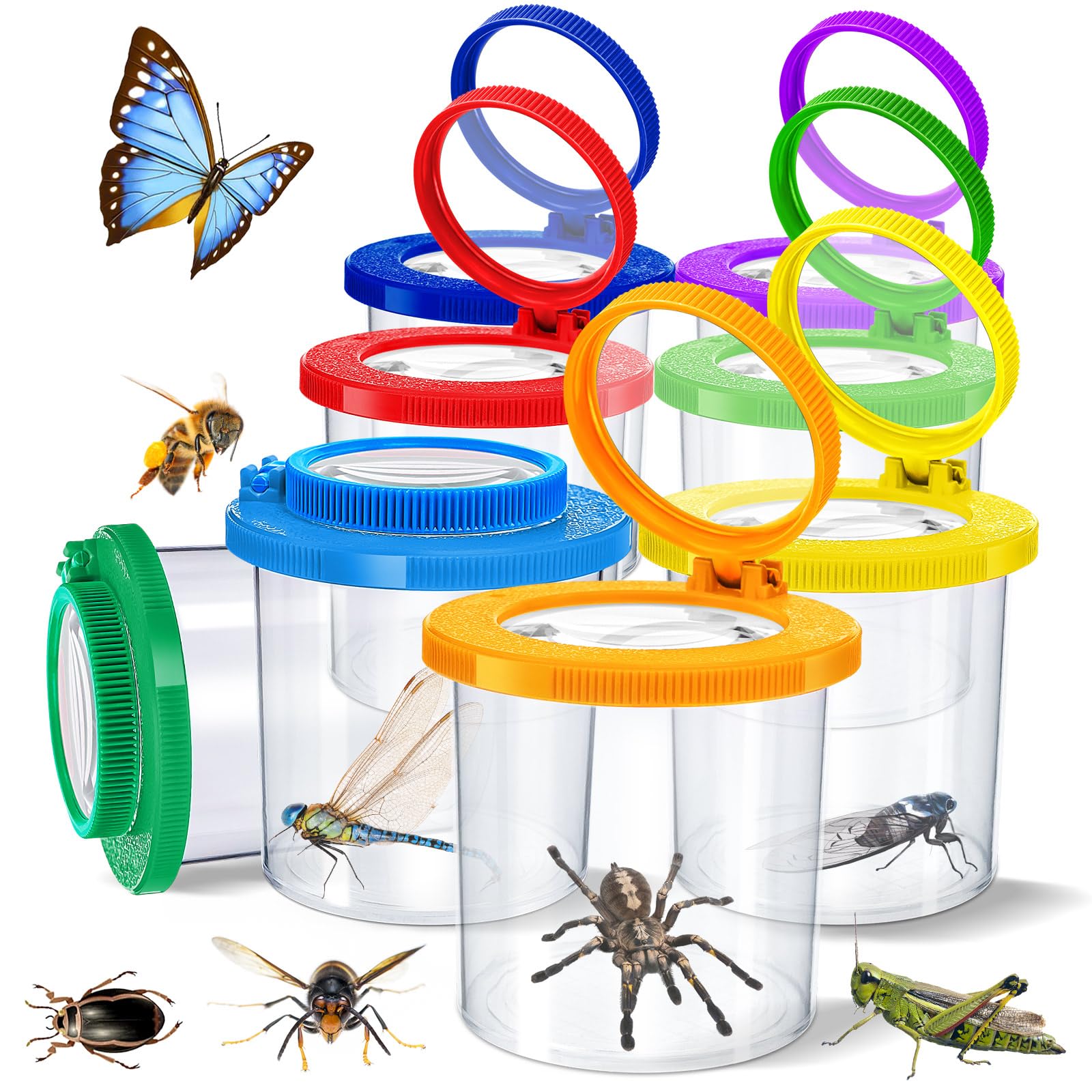 Amazon.com: Insert Bug Viewer for Kids, 8PCS Magnifying Insect Box Bug ...