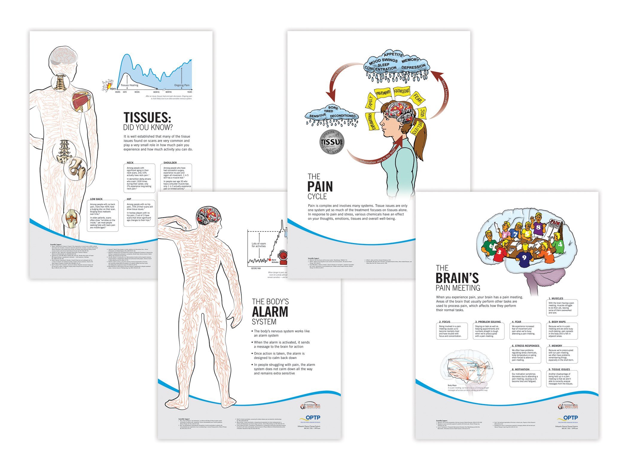 Pain Neuroscience Posters: Adriaan Louw: 9781942798040: Amazon.com: Books