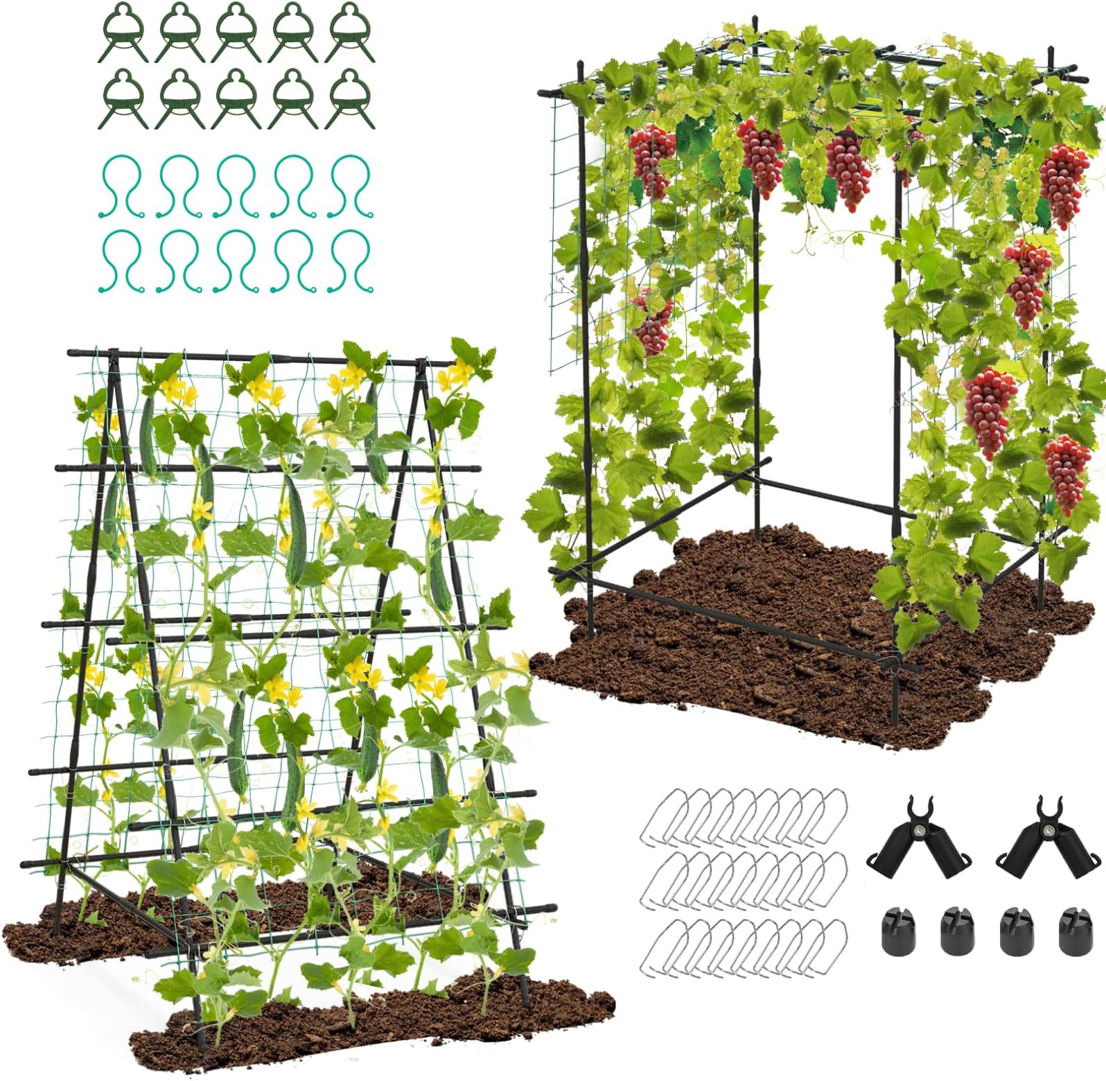 GardenSkill Garden Pea Frame Kit - Complete Support Trellis with ...