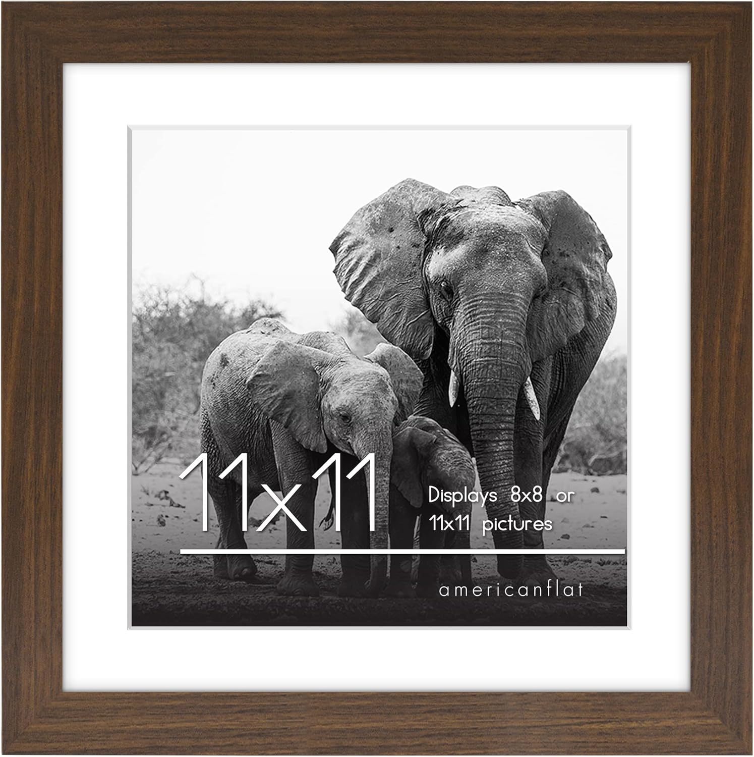 Amazon.com - Americanflat 11x11 Picture Frame in Walnut - Use as 8x8 ...