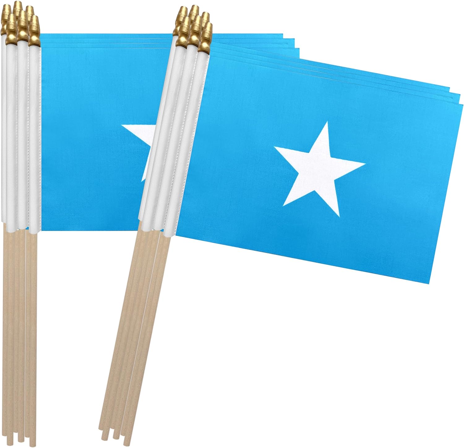 Amazon.com : TSMD Somalia Stick Flag Somali Small Mini Hand Held Flags ...